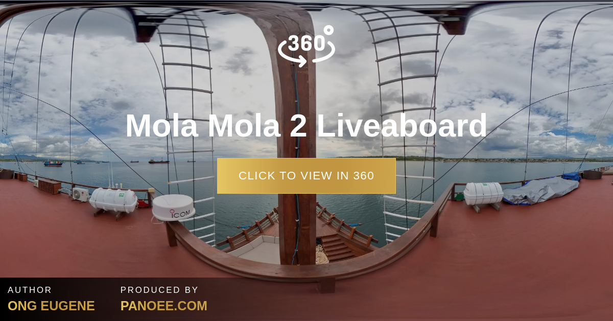 Mola Mola 2 Liveaboard